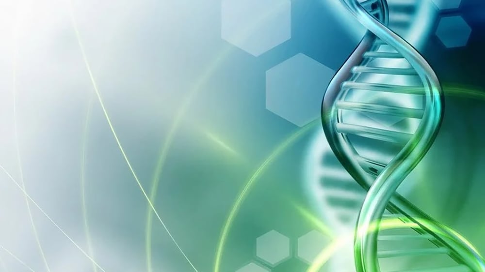 8 Benefits of Amniotic Tissue Therapy - Apex Biologix